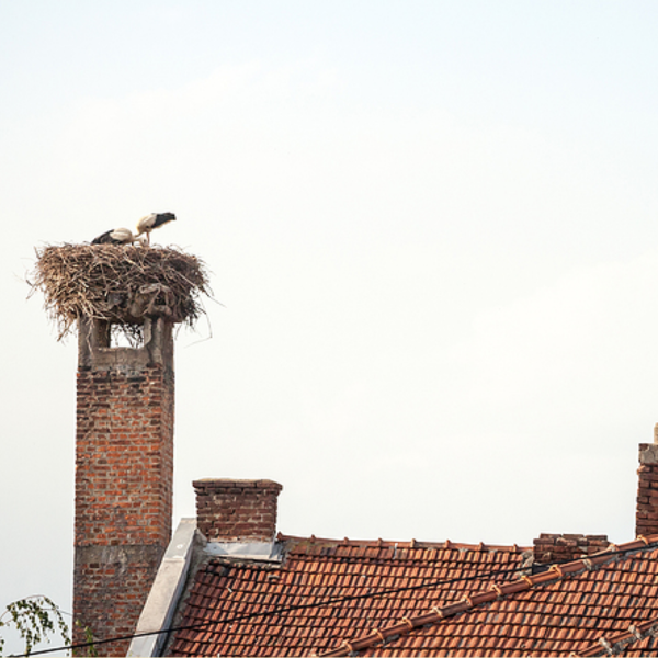 Why You Should Schedule Your Chimney Inspection Before Fall
